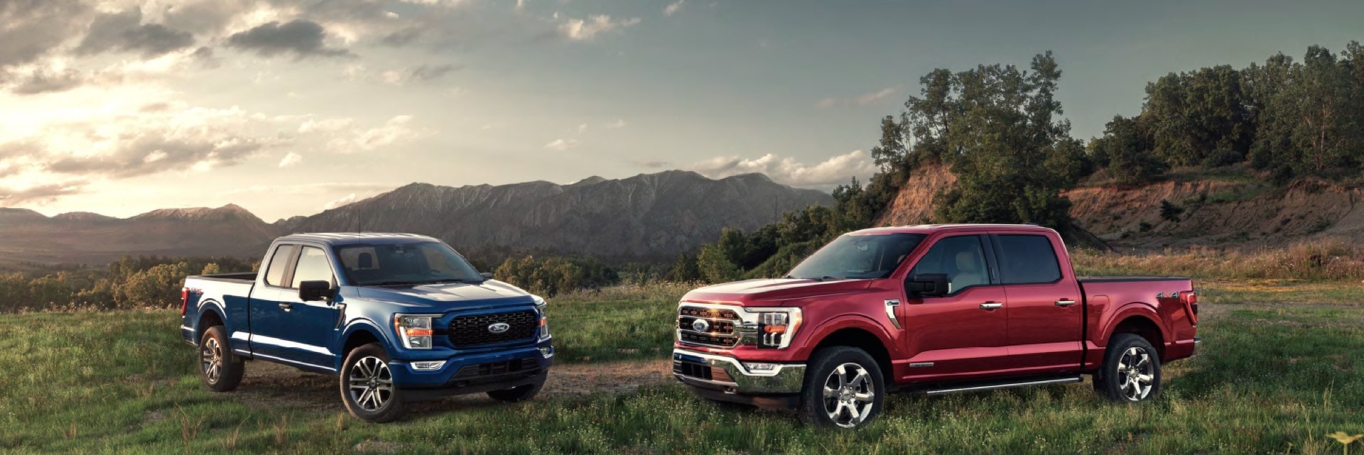 Custom Factory Order | Prater Ford